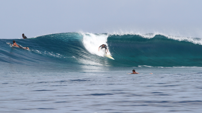 Red Sea Ocean Adventures: Palau Surf Action