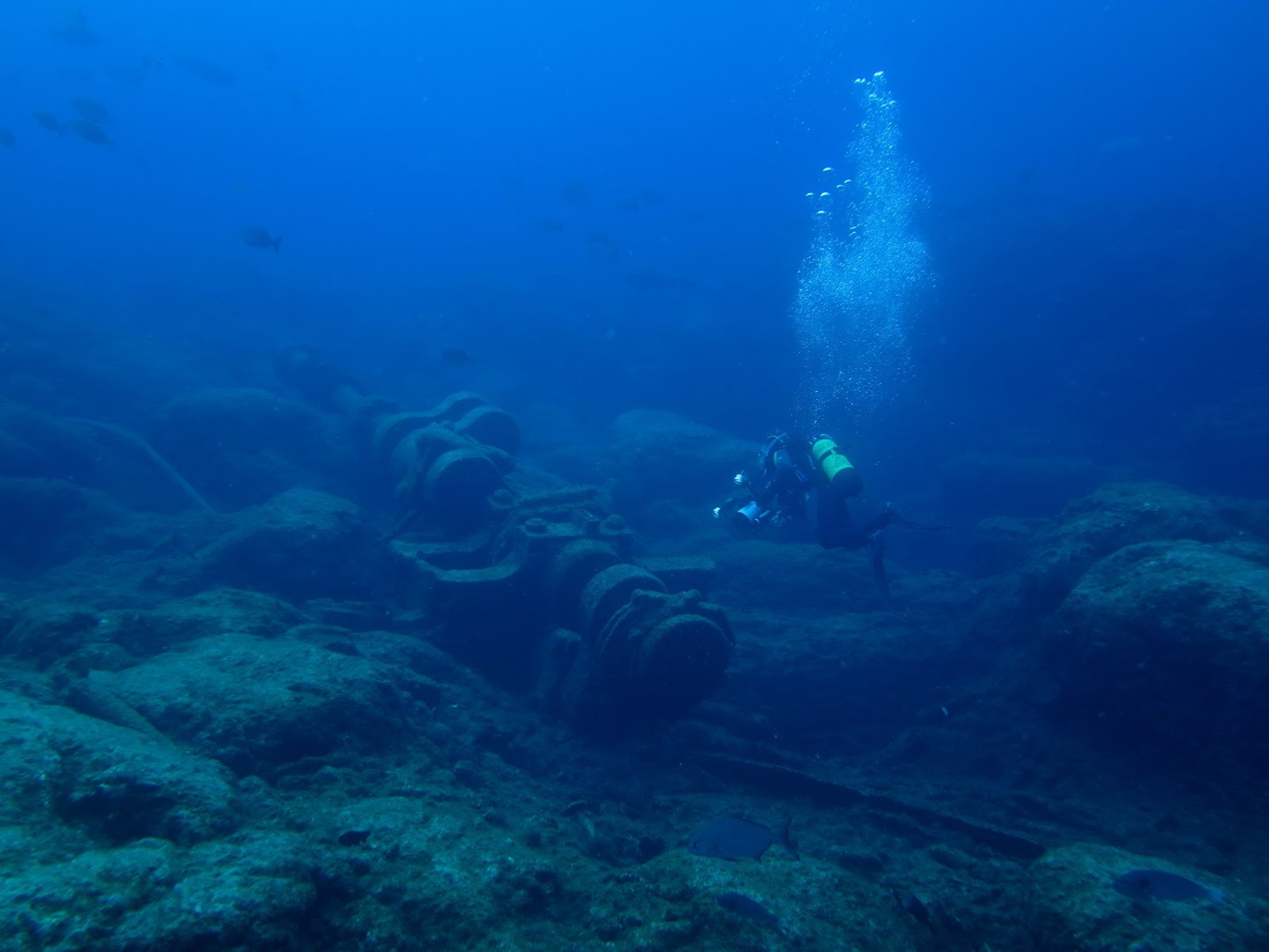 Mergulho num dos melhores spots da Europa, Ilhéus das Formigas Açores