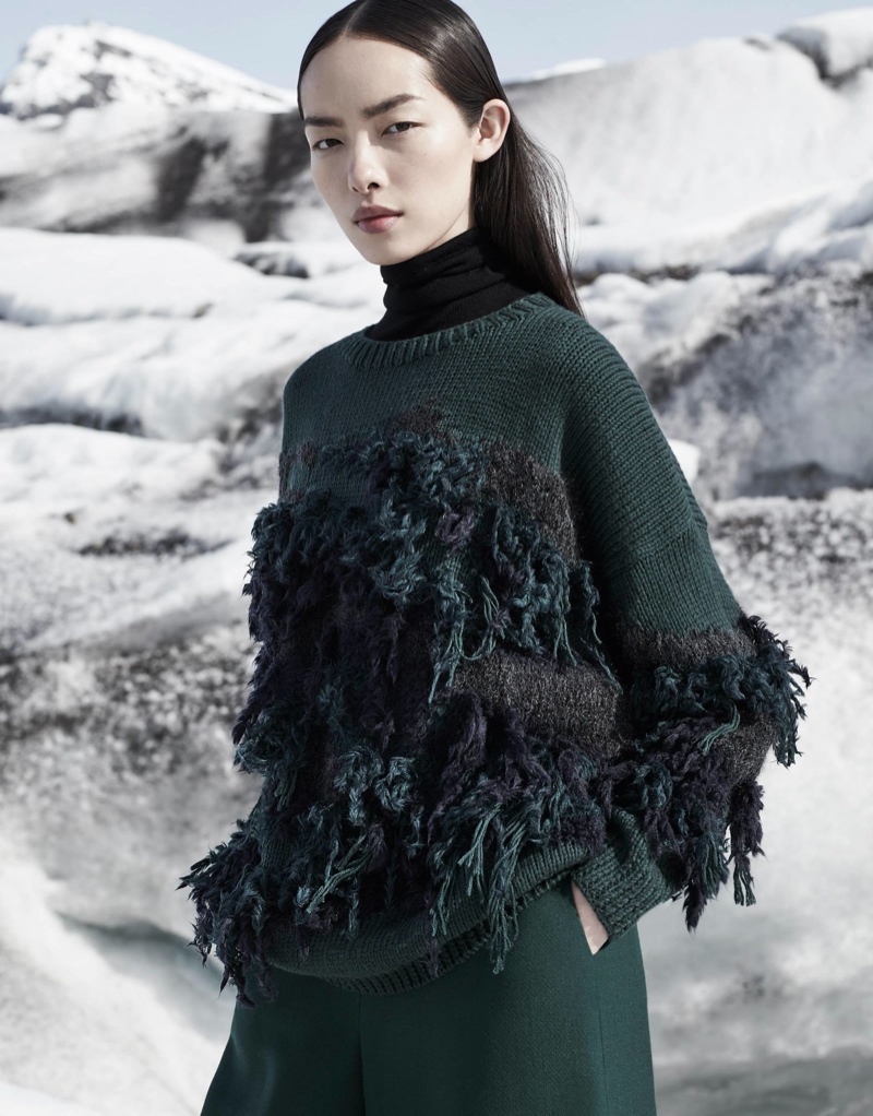 ASIAN MODELS BLOG: AD CAMPAIGN: Sun Fei Fei for COS, Fall/Winter 2015