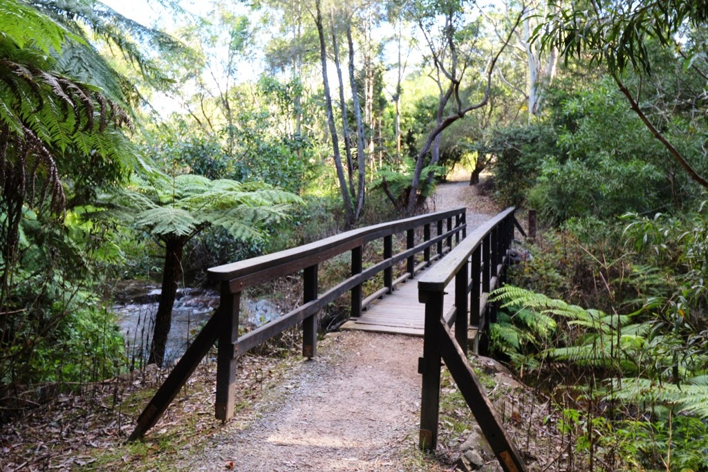 National Park Odyssey: Springbrook National Park, QLD. Revisit in April ...
