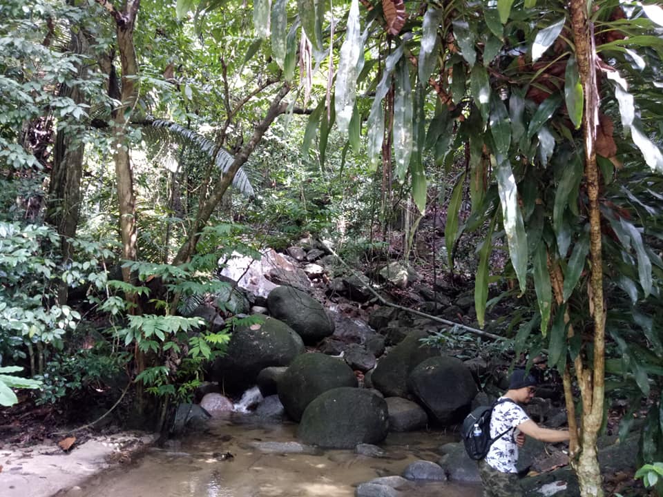 ! Selagi Nadi Ku Berdenyut !: Hiking / Jungle Tracking Di FRIM Kepong