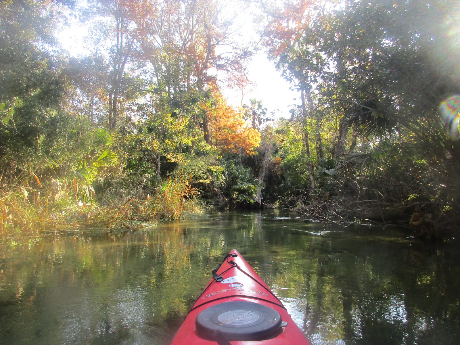 Dave's Yak Tales: Rock Springs Run and Wekiva River
