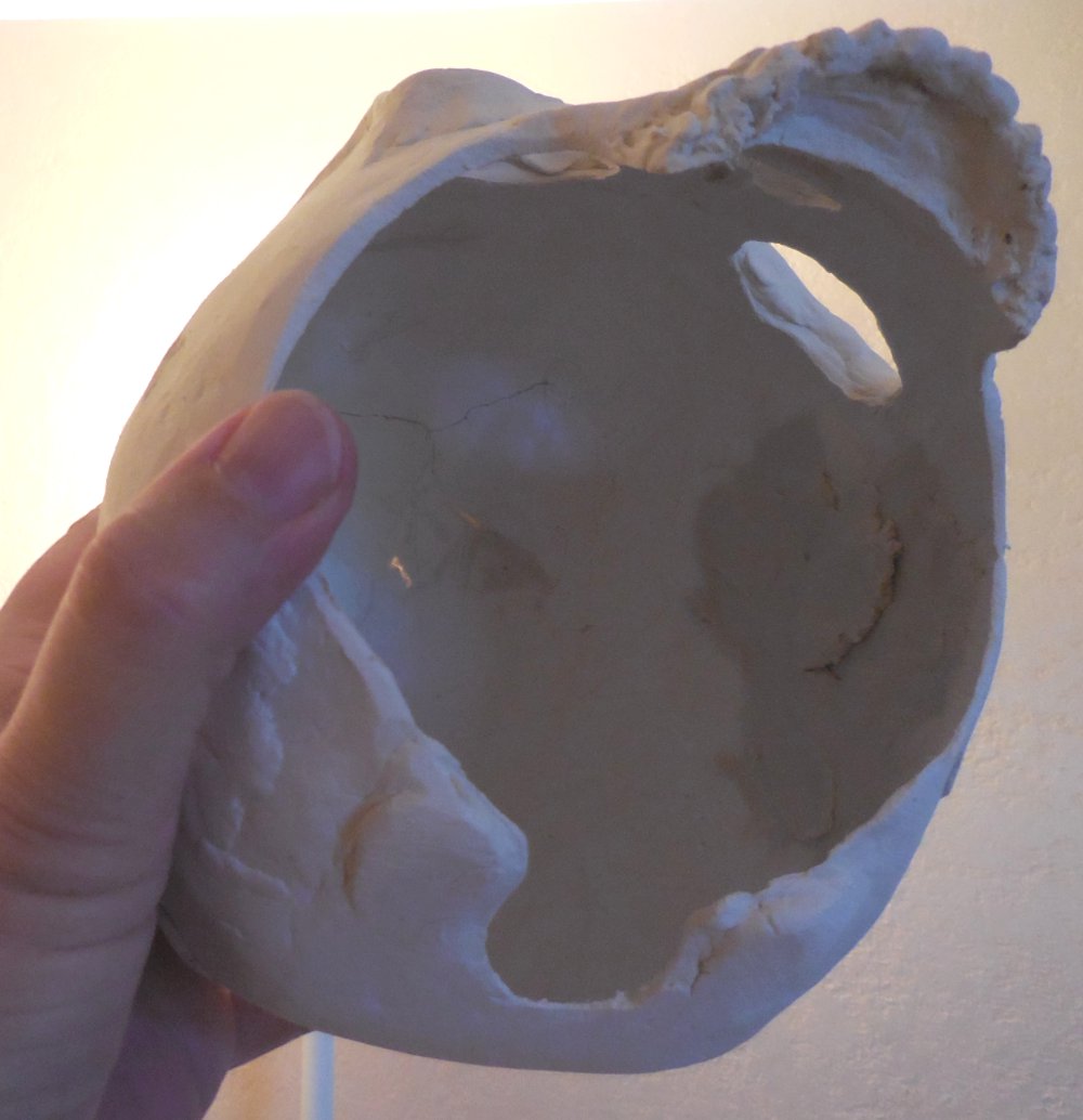 Creative Paperclay® air dry modeling material: Simplified Skull Model ...