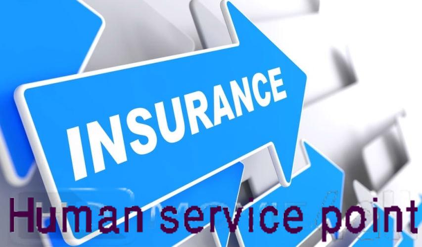 Social effects of Insurance - Human Service in Point Station