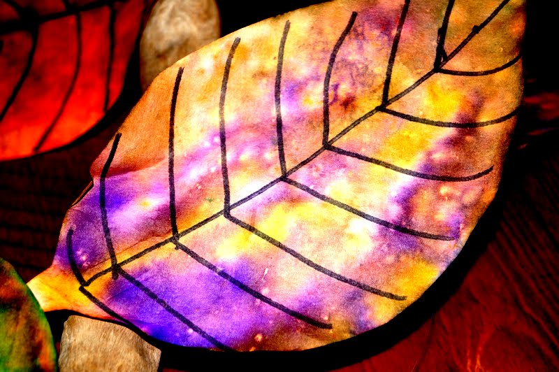 pitter-patter-tie-dye-leaves