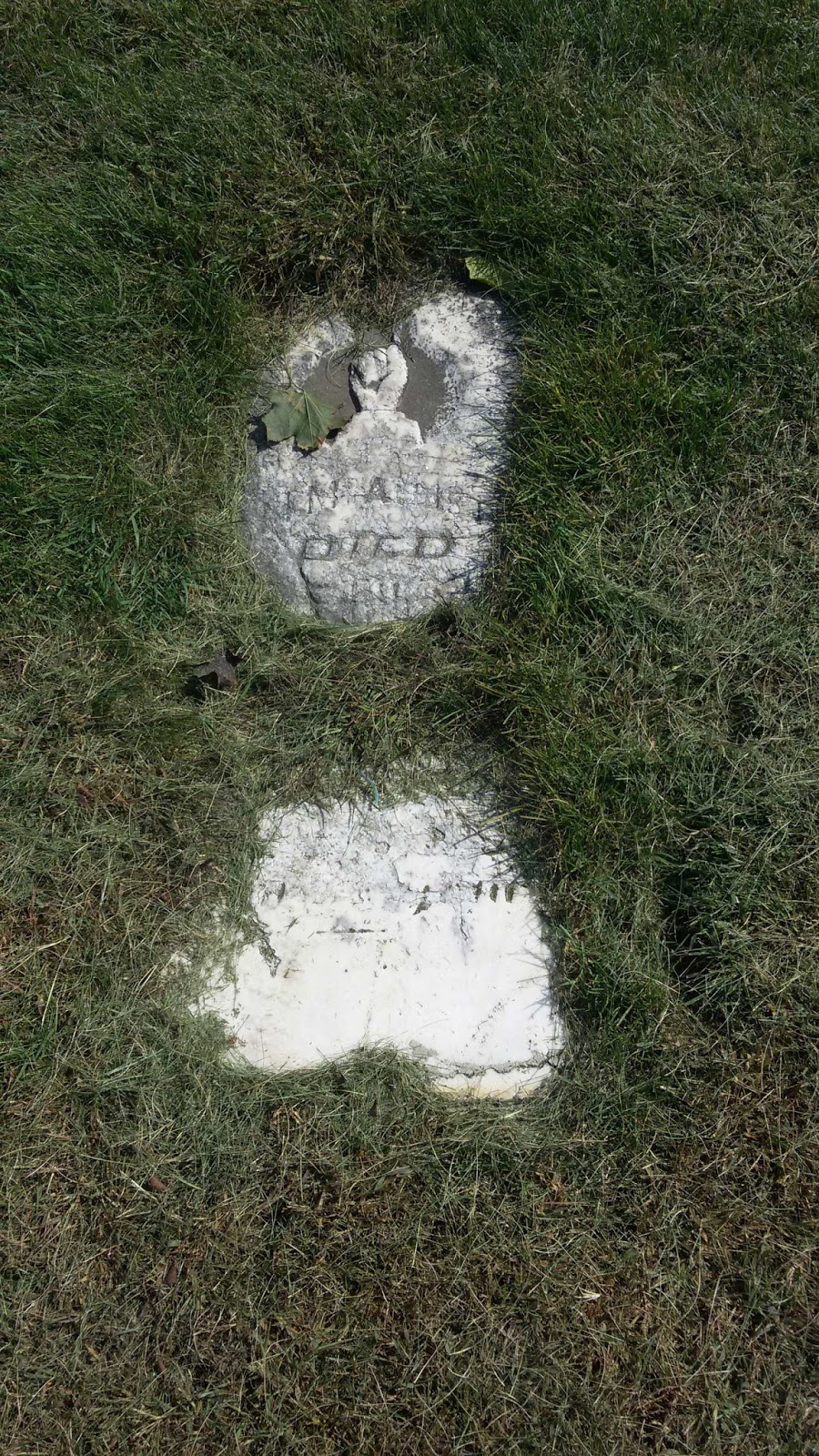 Kossuth County History Buff: RIVERVIEW CEMETERY