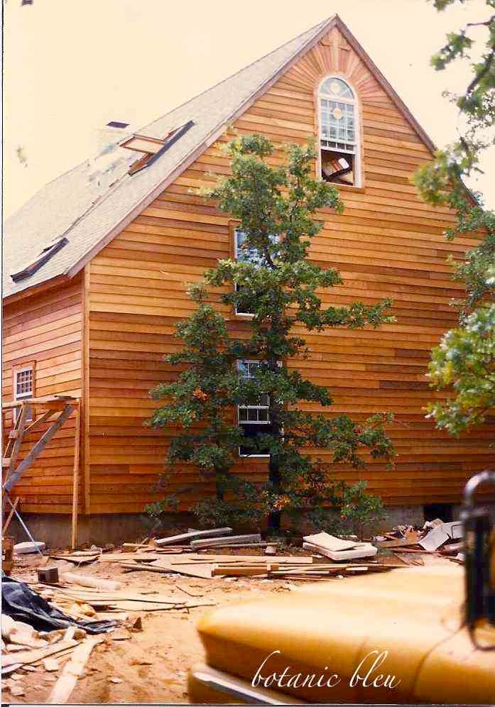 Botanic Bleu: March 2014