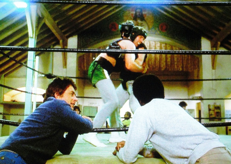 MUSINGS OF A SCI-FI FANATIC: The Incredible Hulk S1 Ep3: Final Round