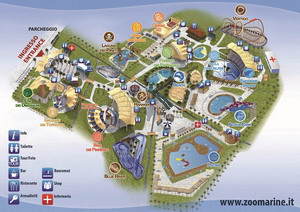 Aprilia Eventi: Vai allo Zoomarine con Aprilia Eventi