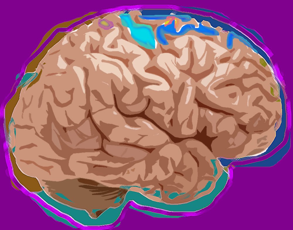 Tell Me a Story: Brain Fuzz