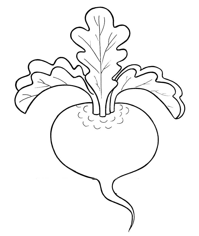 Ayo Mewarnai Gambar Mewarnai Sayur Lobak -Mudah Dan Gampang - Mewarnai ...