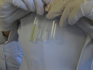 Atlas de Citologia Clínica - Profa Dra Lucila Ludmila Paula Gutierrez ...