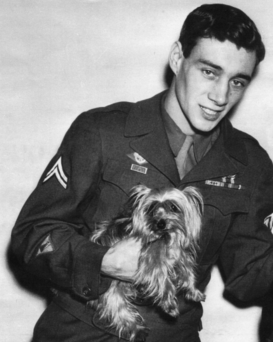 Famous Dogs in History: Yorkie Doodle Dandy: World War II Dog Hero
