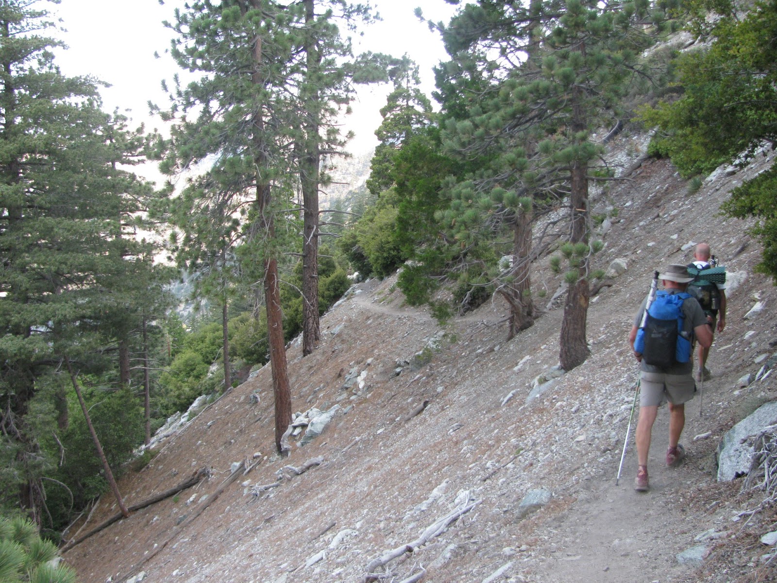 A Warm Summit At Timber Mountain | The Shaded Trail