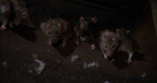 The Bleeding Dead Film Reviews: Graveyard Shift (1990)