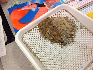 Lights, Camera, Learn: Weathering and Erosion Experiment
