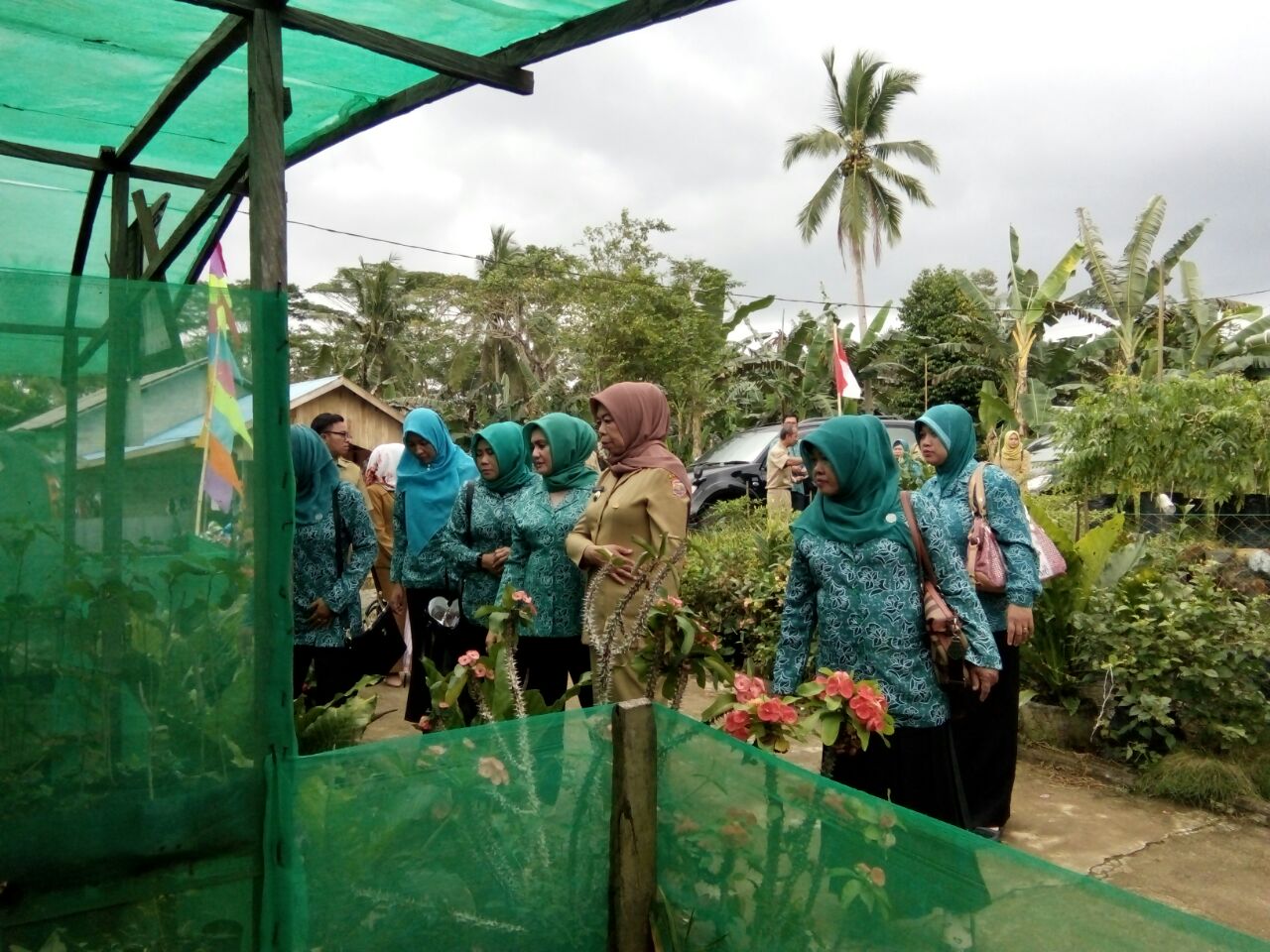 TP PKK Kotabaru Kunjungi Kebun TOGA | Kodoknews.com TP PKK Kotabaru Kunjungi Kebun TOGA | Kodoknews.com