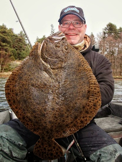 Big Fishes of the World: TURBOT (Scophthalmus maximus)
