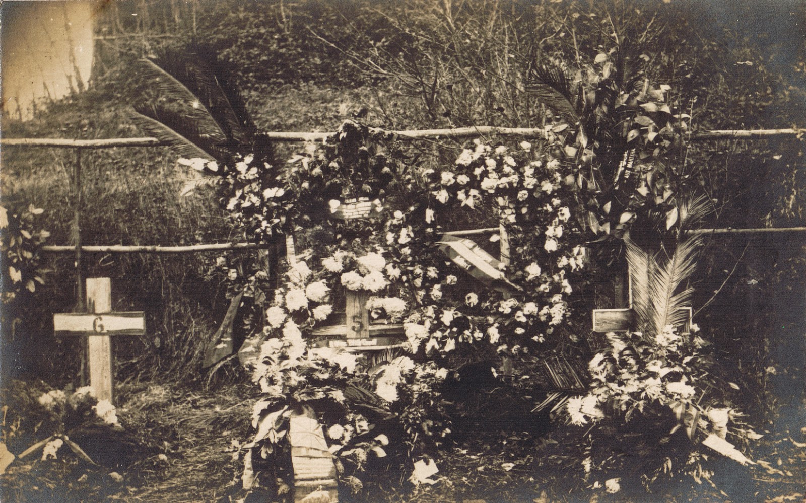 100 New Zealand First World War Postcards: Patriotism is not enough ...