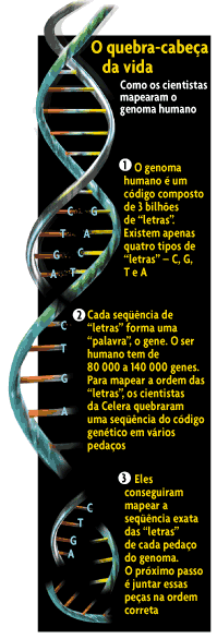Código Genético e Genoma Humano