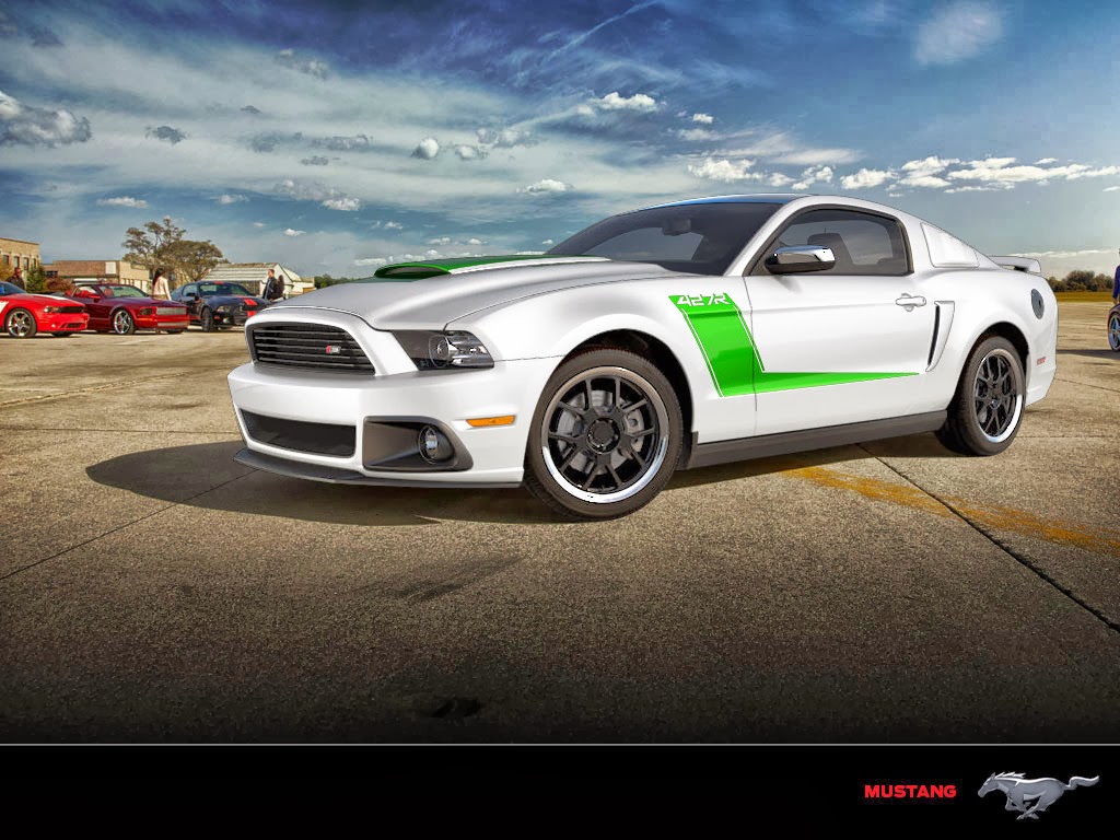 Mustang Militia: 2014 Mustang Customizer