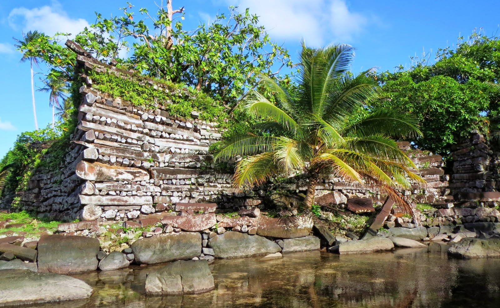 Bill's Excellent Adventures: Micronesia (Pohnpei, FSM)