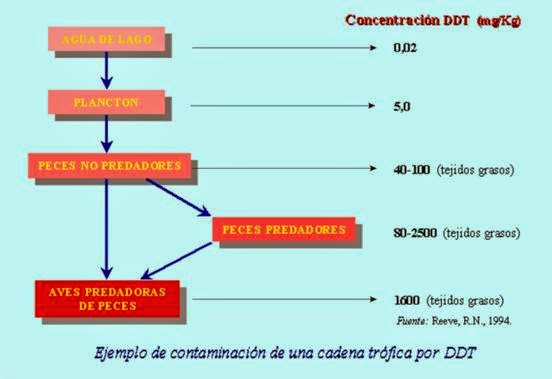 Enroque de ciencia: DDT, el insecticida problemático