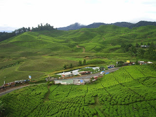 ErGie Print: Top Tourist Attractions in Cipanas And Cisarua