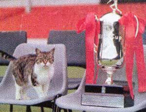 Keep off the grass: The Anfield Cat. - ESTO ES ANFIELD