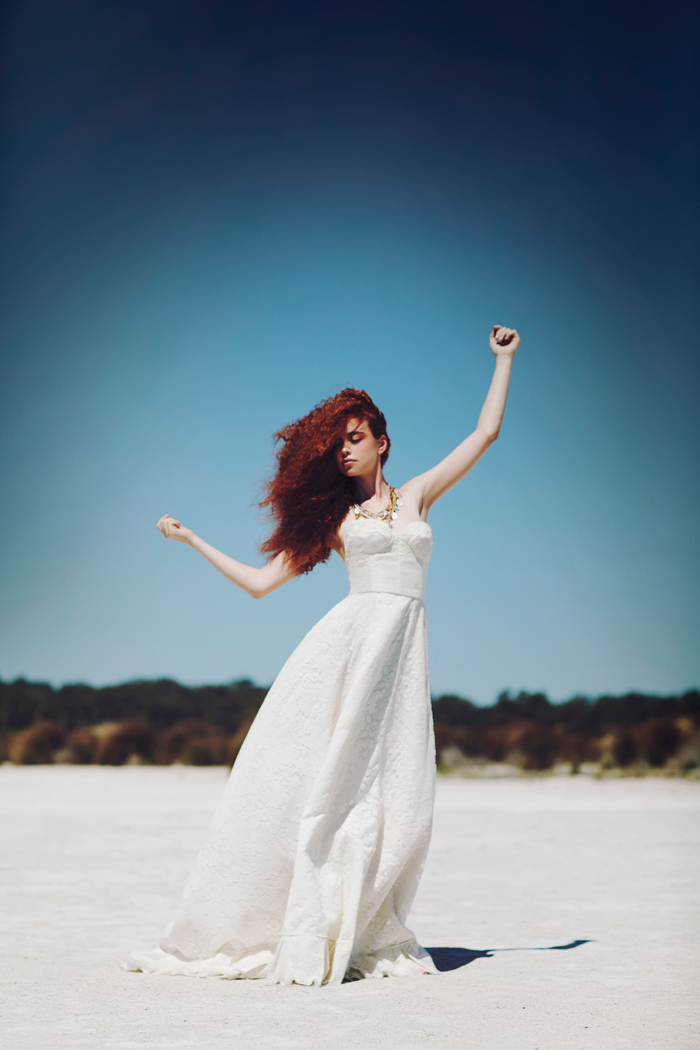 glittering heads dream.: golden bird of the sun.