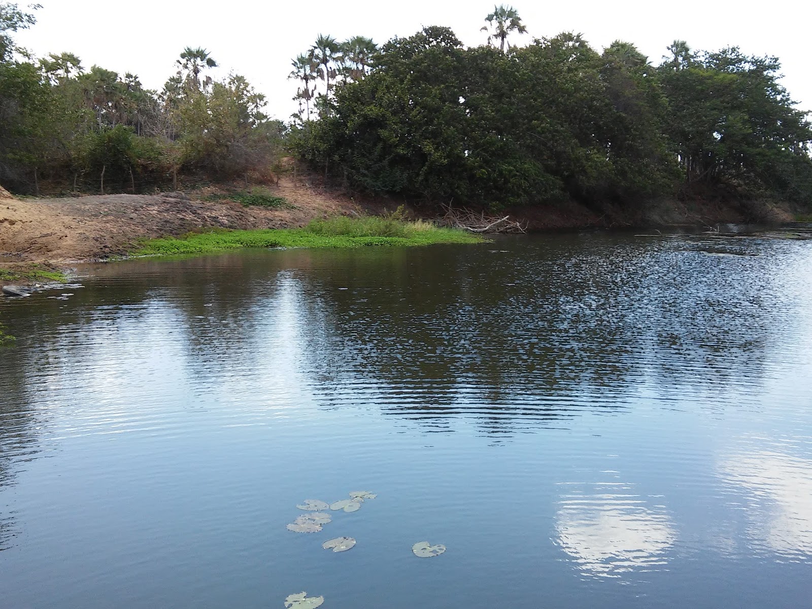 BLOG MORAÚJO NOTÍCIAS: RIO COREAÚ: Conheça a história do Rio mais ...