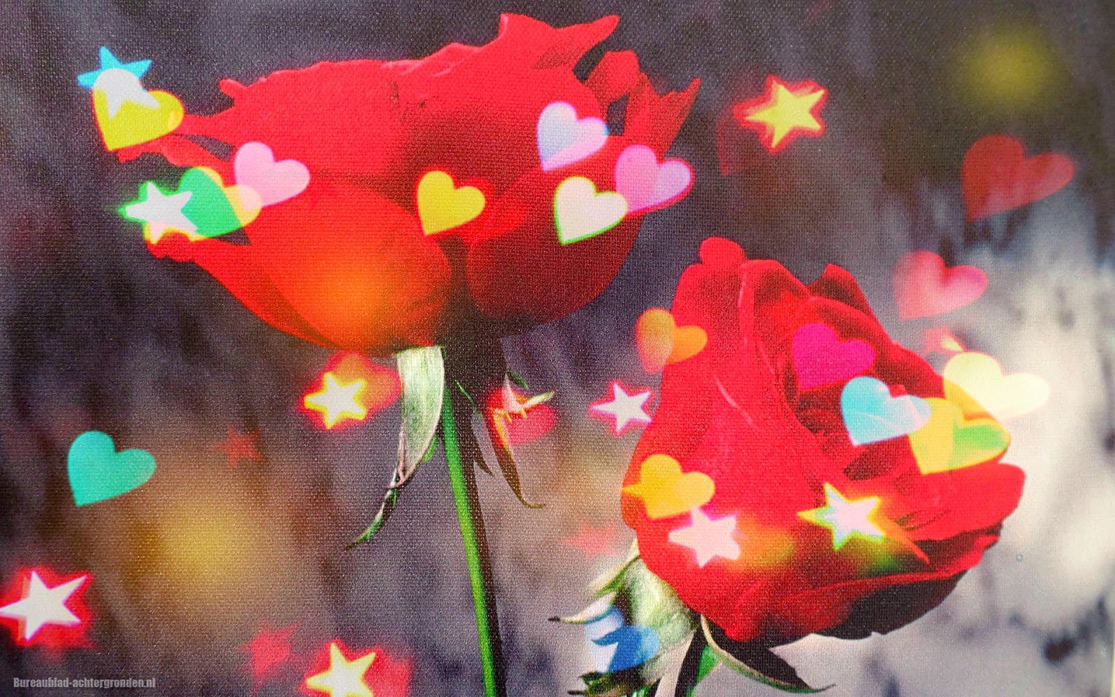 Schilderij met rozen, hartjes en sterretjes