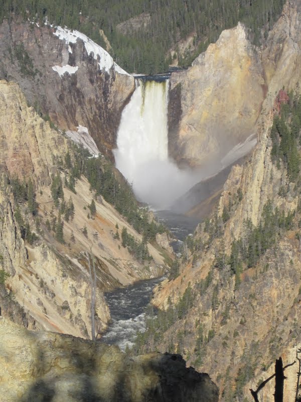 The Scallywagon: YOU SKIN GRIZ', PILGRIM? Yellowstone National Park