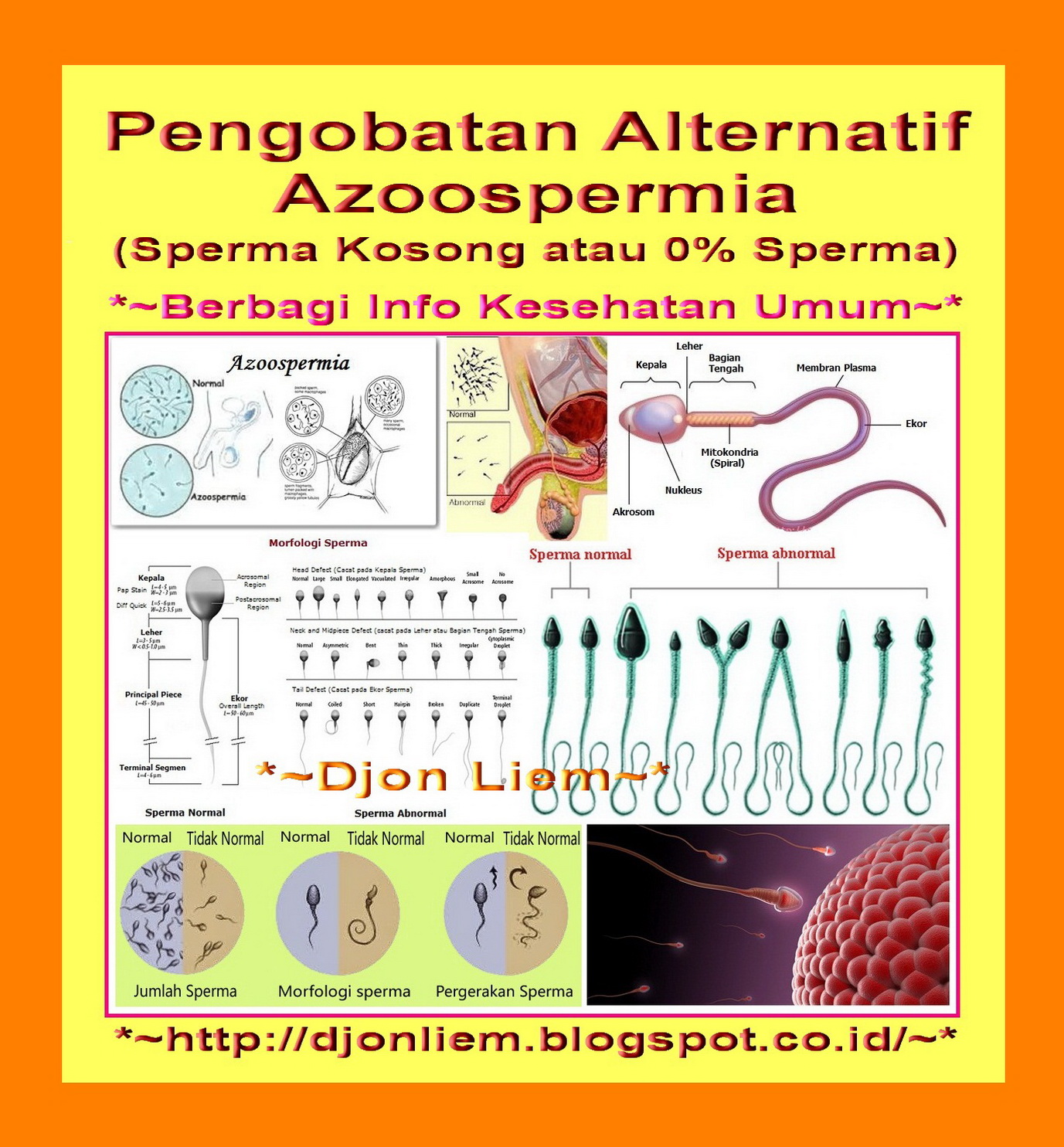 Djon Liem: Pengobatan Alternatif Azoospermia atau Sperma Kosong atau 0% ...