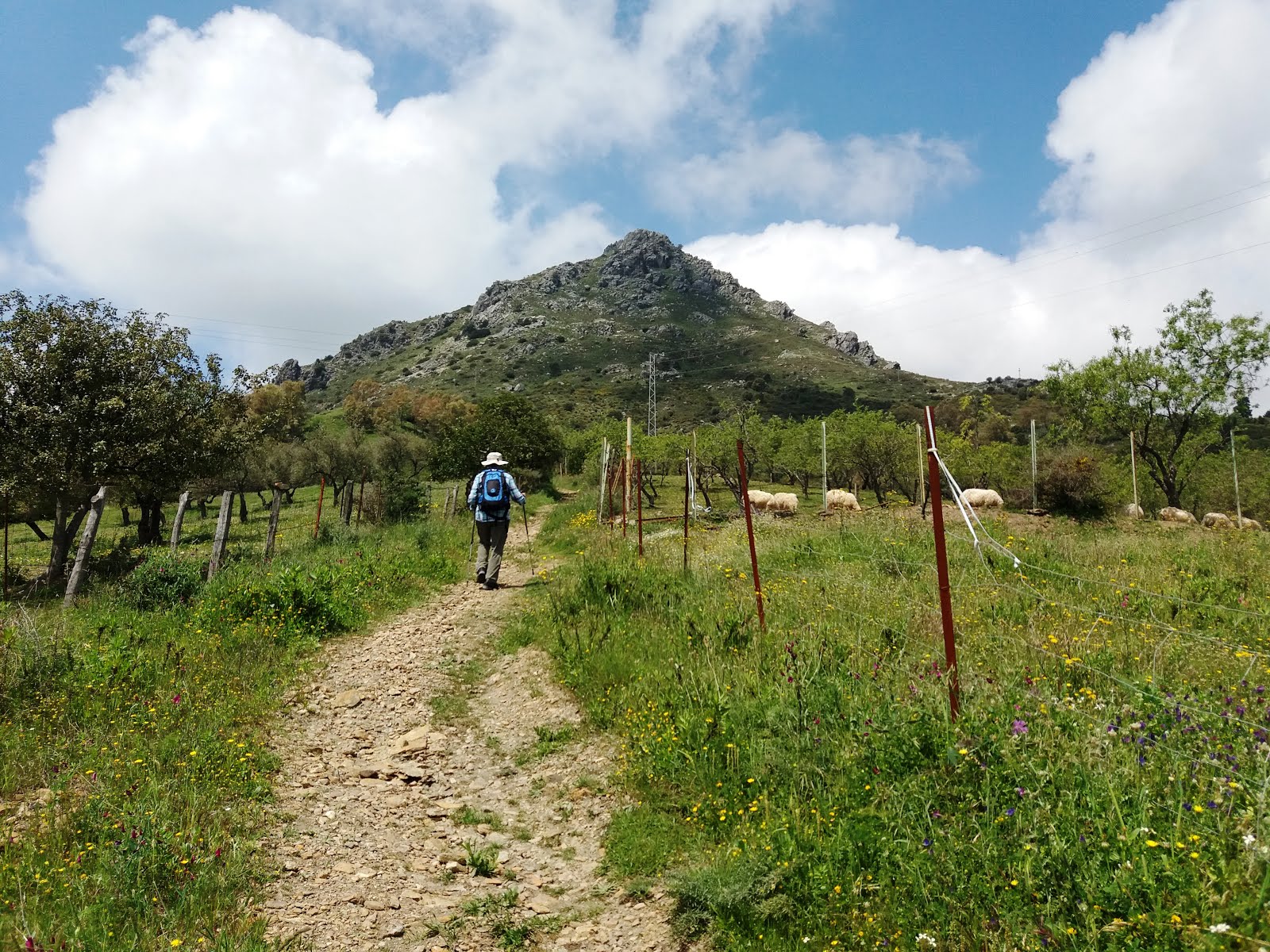 PueblosBlancosDiscoveryTours: Sierra del Hacho, Gaucín