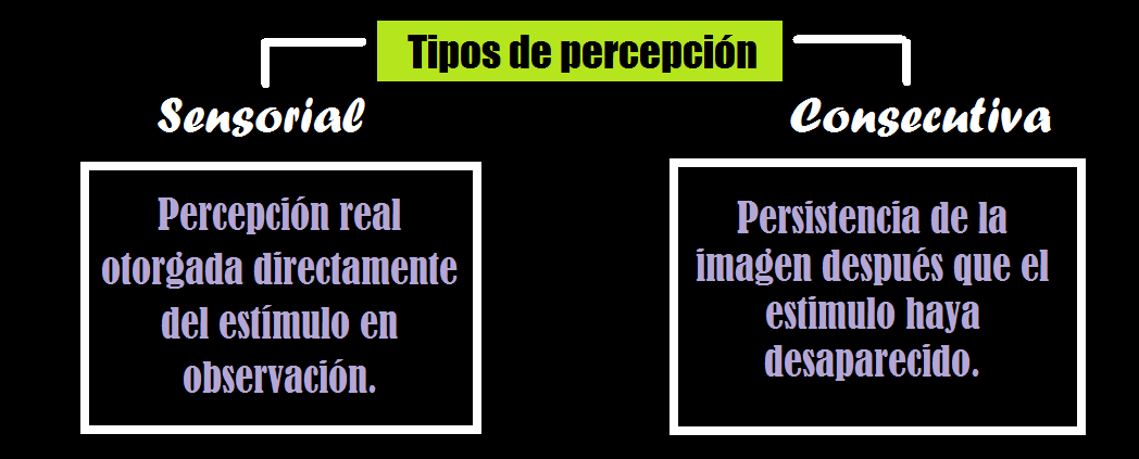 Psicología Evolutiva: "Percepción"