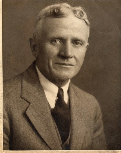 Random Musings of a Family Scribe: The Library Cleaner