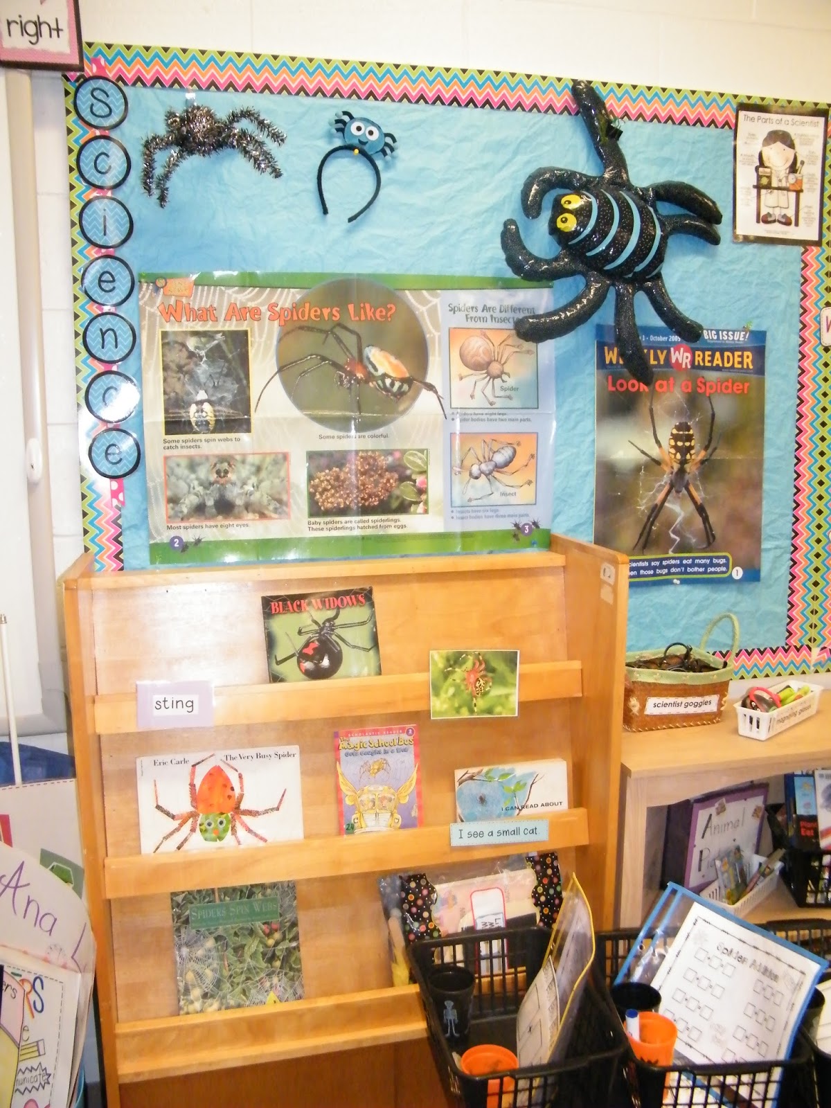 Adventures With Firsties: Creepy Crawly Spiders!