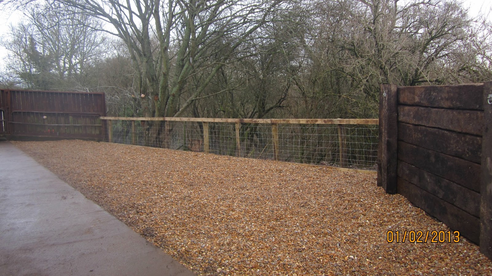 Our Own Little Paddock Paradise