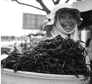 Not Another Foodie.: Oven Baked Tarantulas