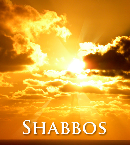 A nigun a day.: Do As I Do - Good Shabbos Every Buddy!