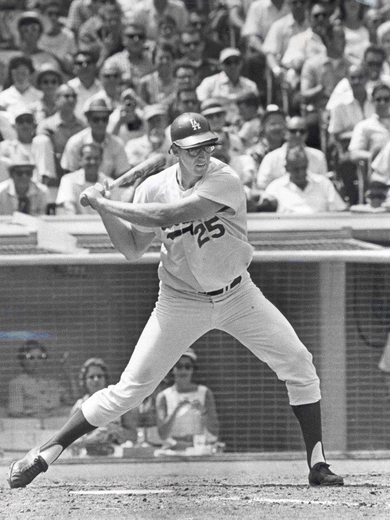 Great Names in Baseball: Frank Howard: The Capital Punisher