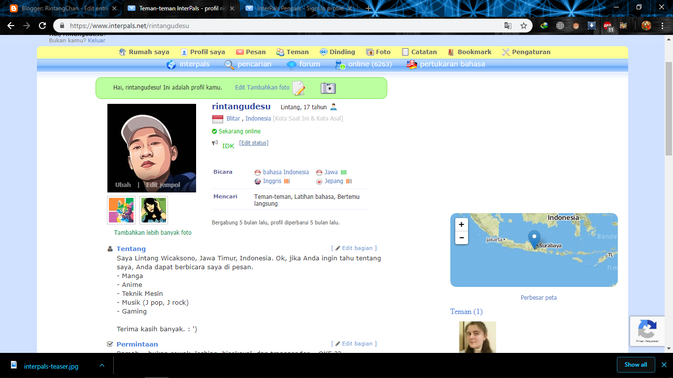 Membuat Pertemanan dengan Orang Luar Negeri Lewat Interpals - RintangChan