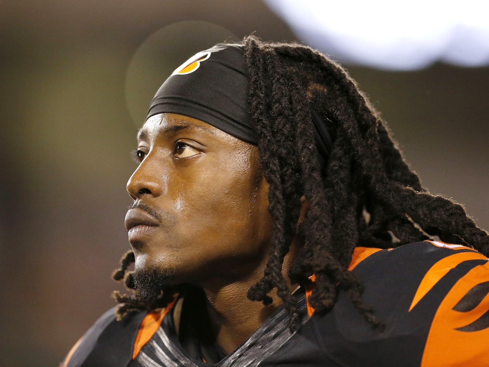 House of Dread: NFL '15 Dread News - Week 18