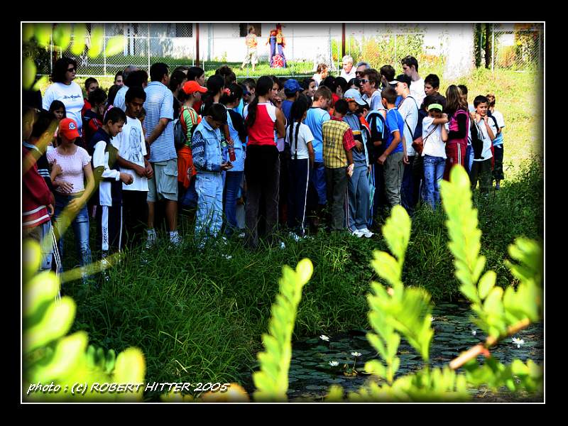 Pictures-Photos-Képek-Imagini - © - ROBERT HITTER: REZERVATIA NATURALA ...