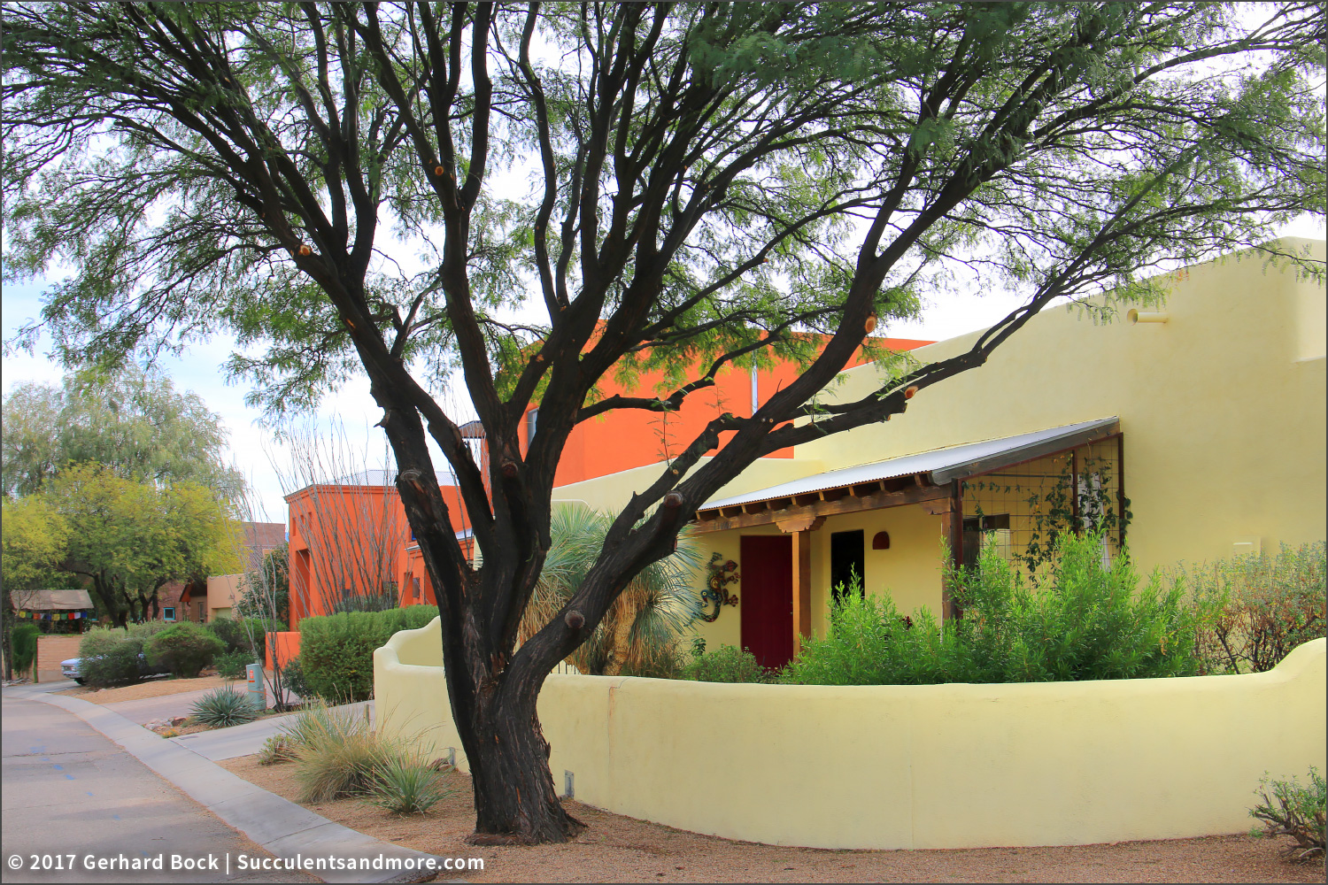 Tucson's Civano community: where I'd love to live