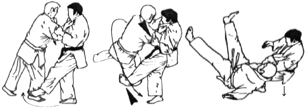 BUDO TOLEDO: SUTEMI WAZA: TÉCNICAS DE SACRIFICIO