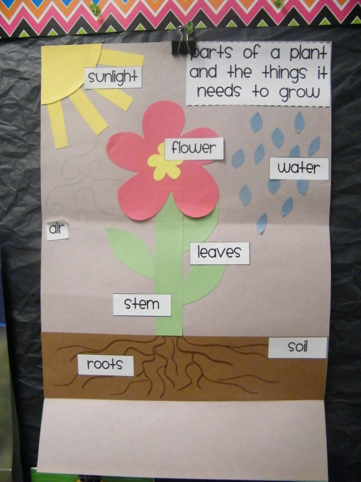 Adventures With Firsties: Finishing Plants ... and Adjectives! (and a ...