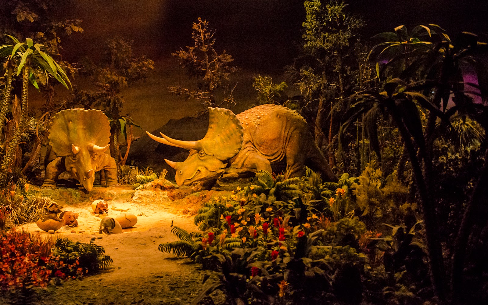 Return to Primeval World