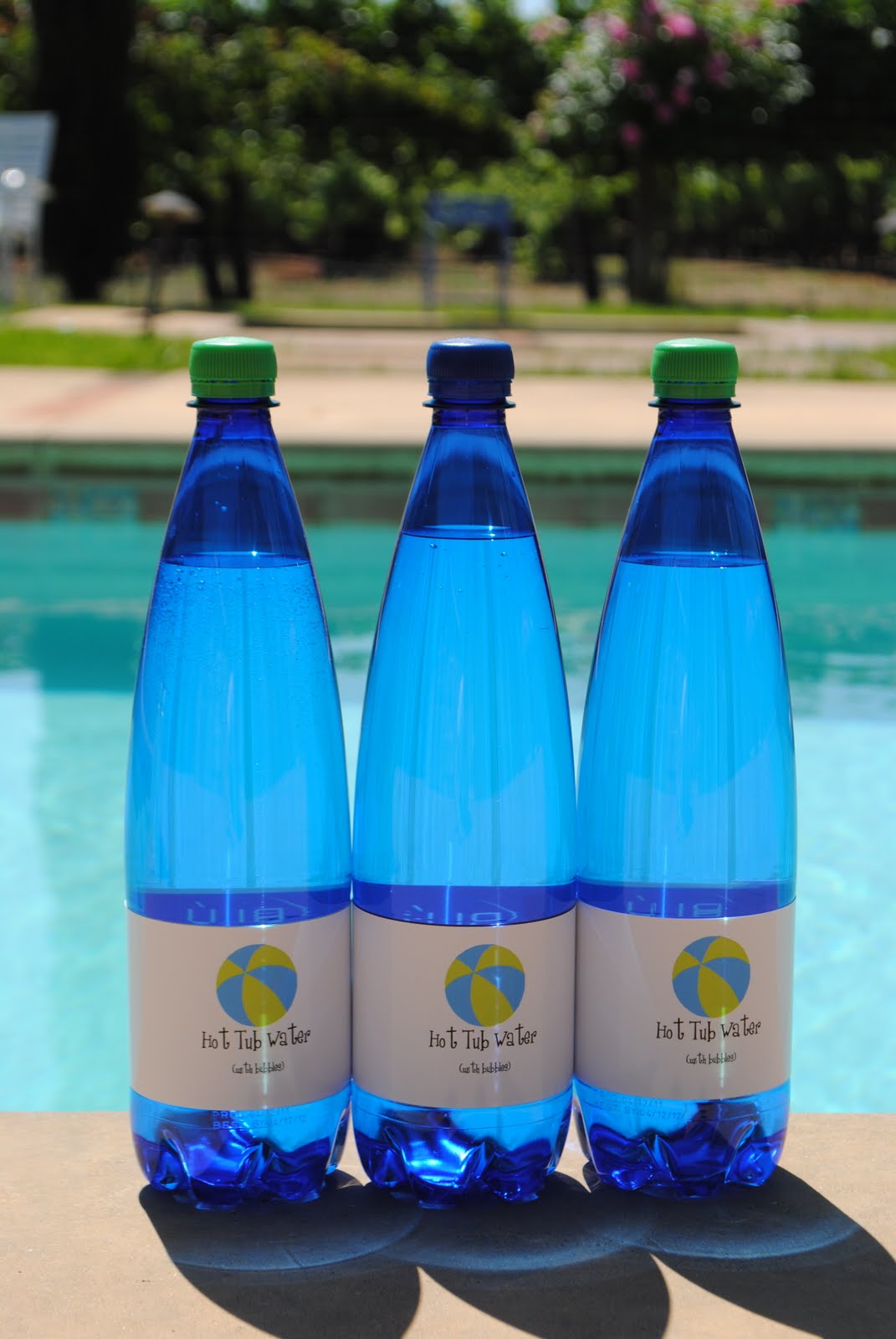 Jac o' lyn Murphy: Pool Party...Dips, Drinks and Swim Snacks